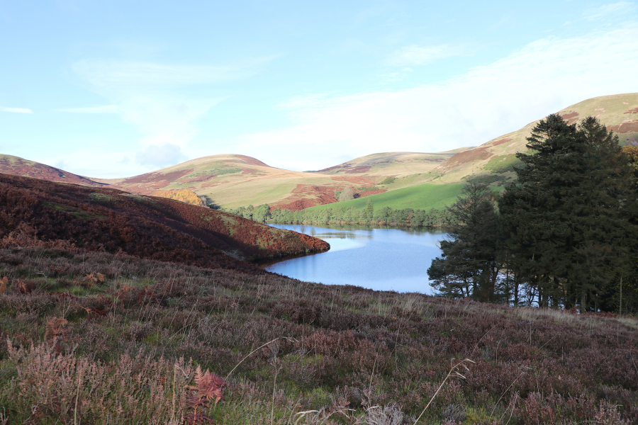 Rullion Green Wood | Sustainability | Social Responsibility and ...